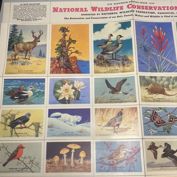 National Wildlife Federation | Other | 948 National Wildlife ...